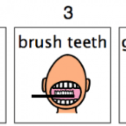 Boardmaker Brush Teeth